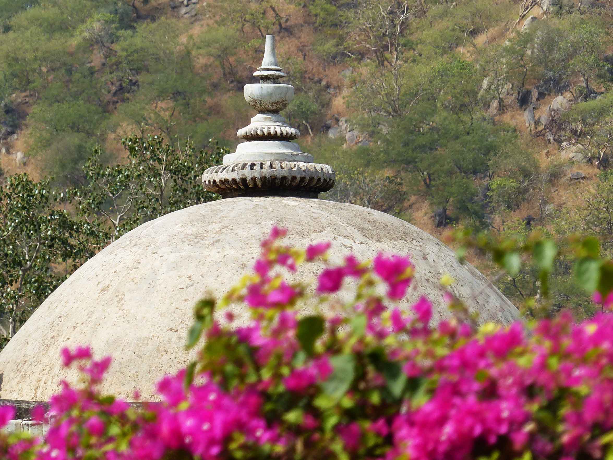 Chaumukha Mandir, the four-faced temple of Ranakpur - Travel with me