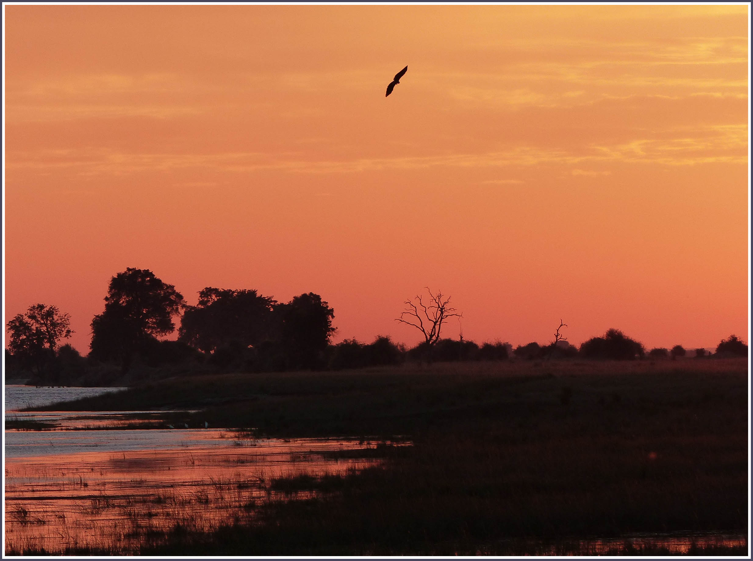 The sun sets and the sun rises over the Chobe River - Travel with me