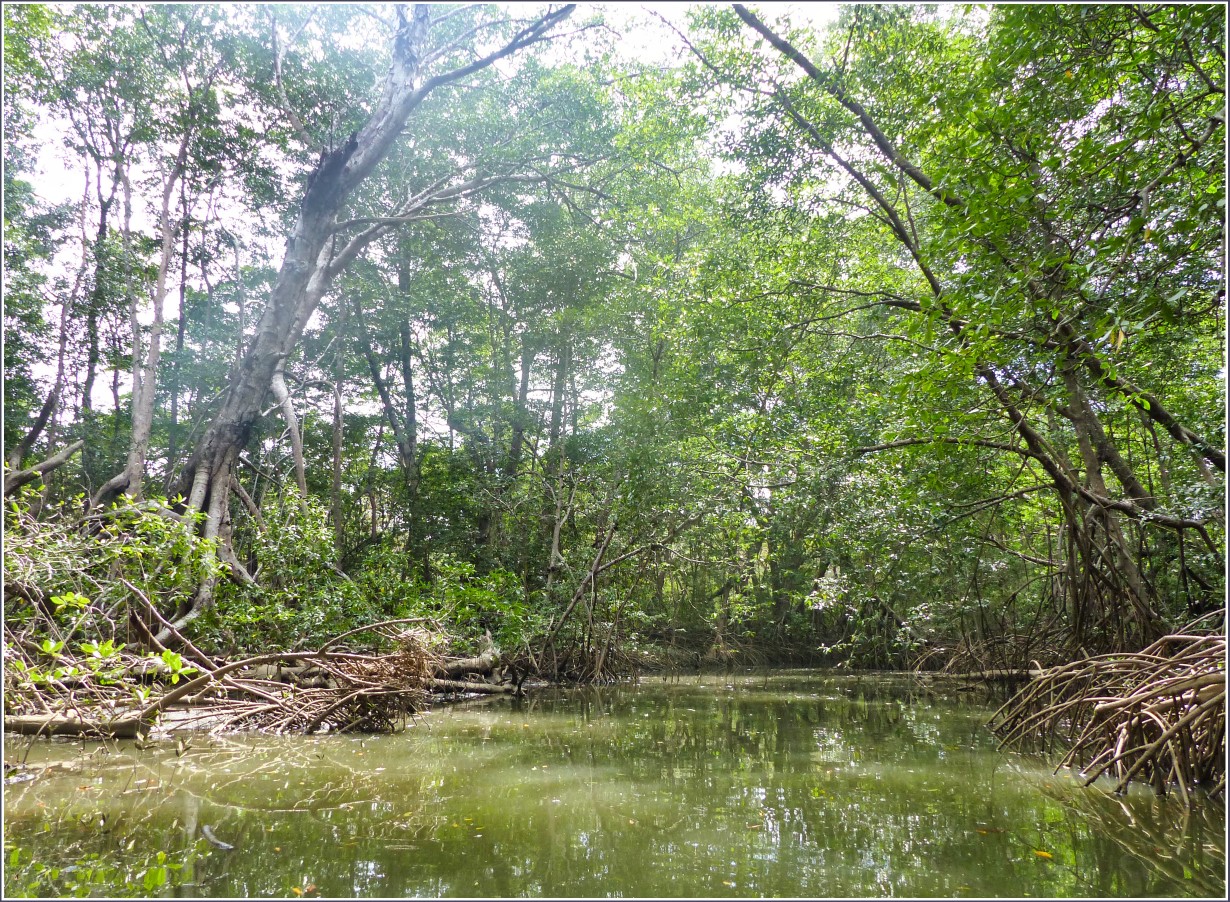 Misadventure on the Rio Nosara - Travel with me