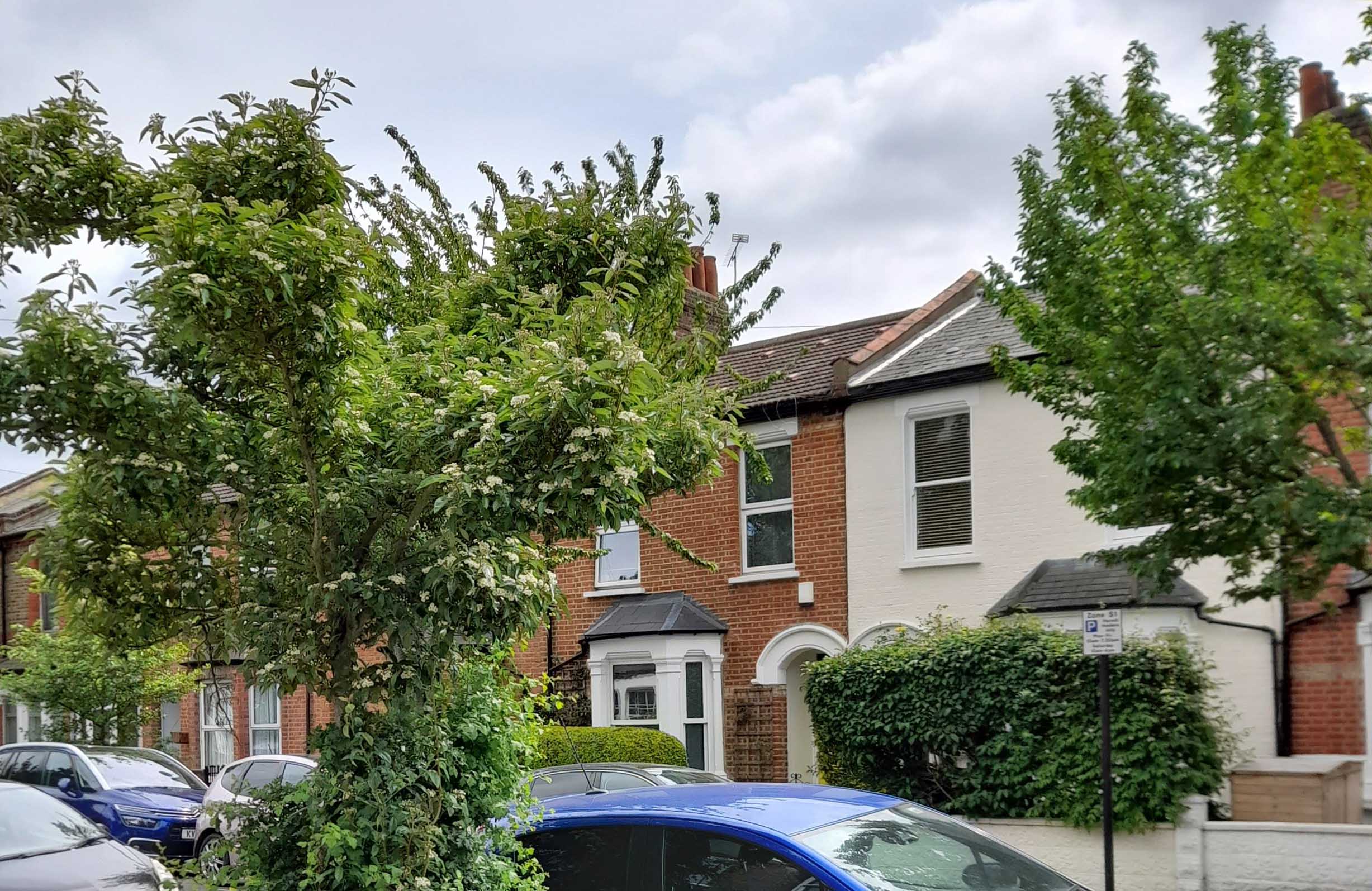 Ealing, the Queen of the Suburbs? - Travel with me