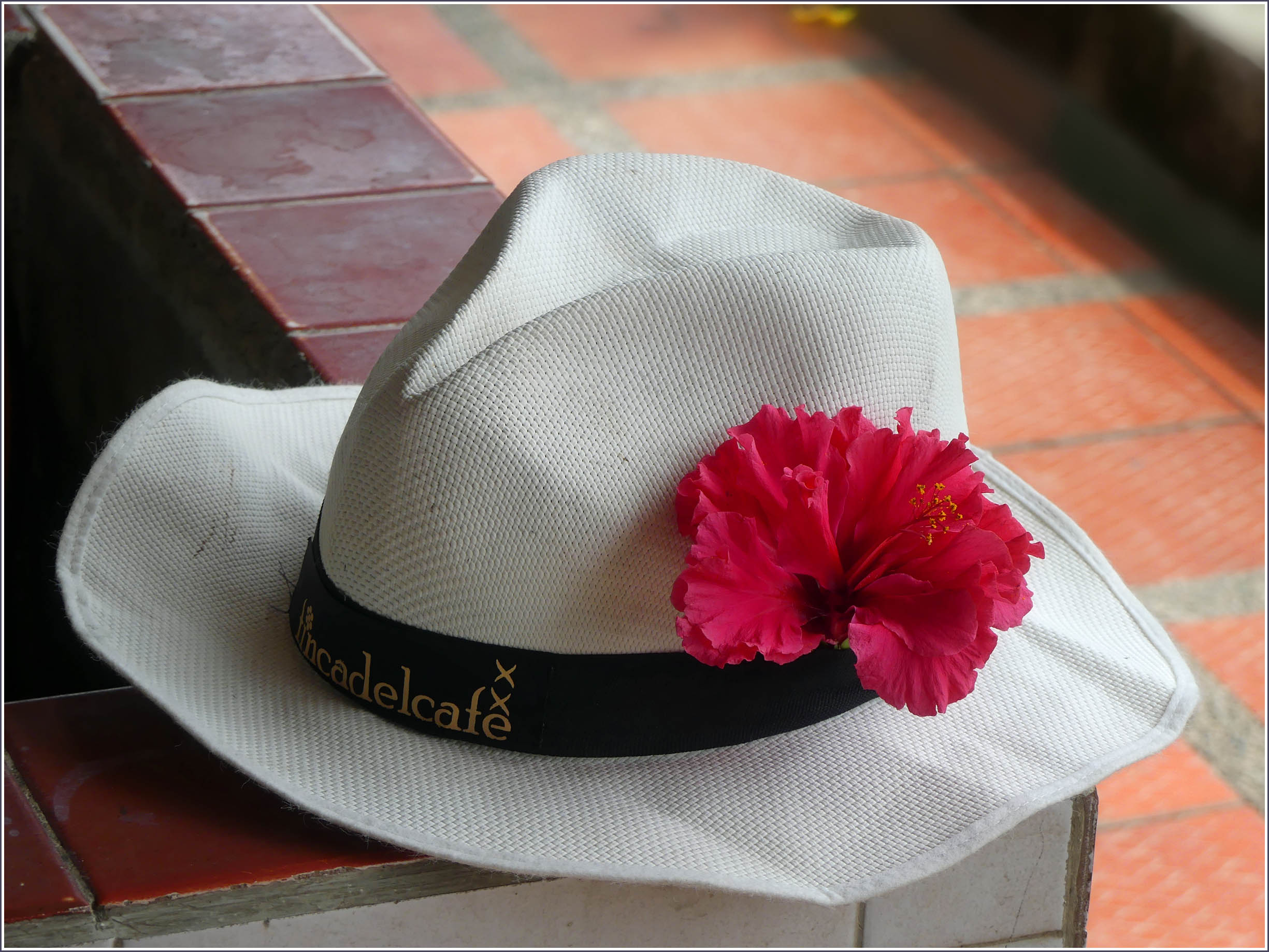 One of Colombia’s most famous crops - Travel with me