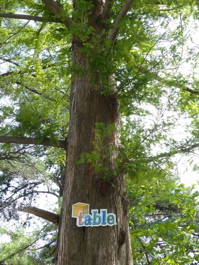 Songdowon International Schoolchildren’s Camp - Travel with me